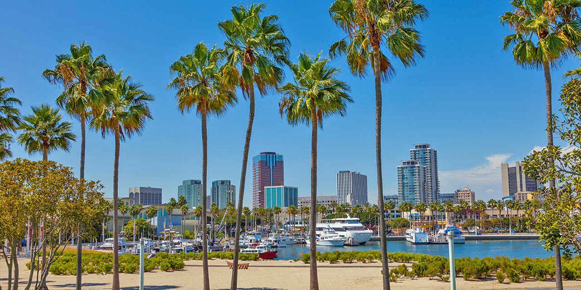 California State University Long Beach | Studin California State University Long Beach | Studin